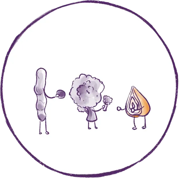 Onion (2) | Migrateful